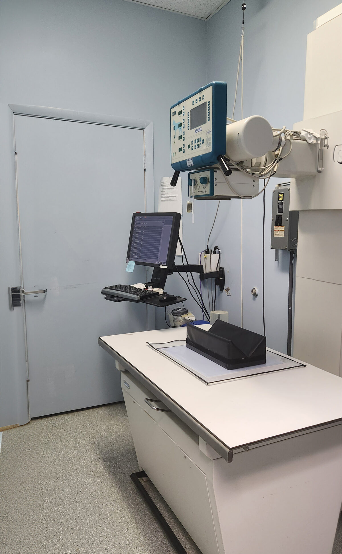 Pet Radiography, Greenacres, Palm Beach | The Bird And Exotic Hospital
